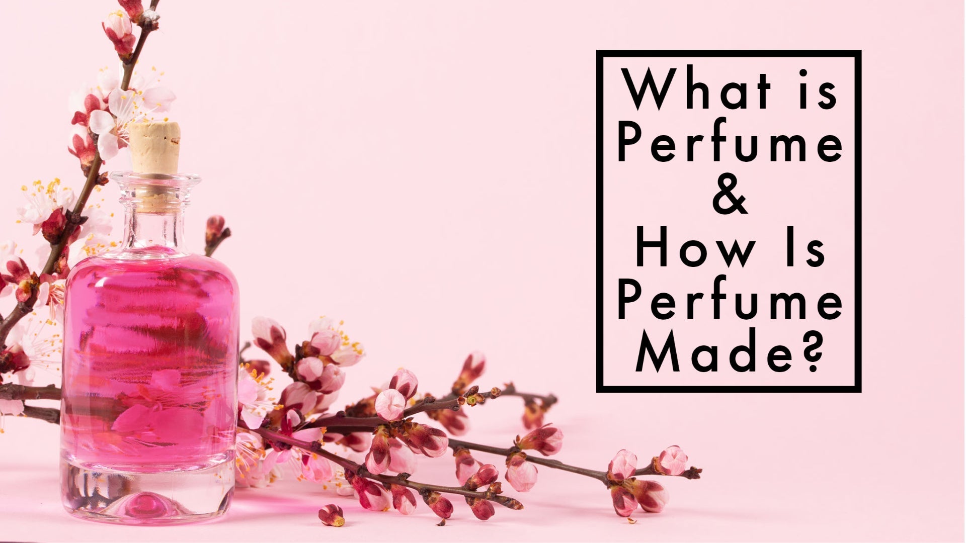What is Perfume & How Perfume Is Made? (Explained)